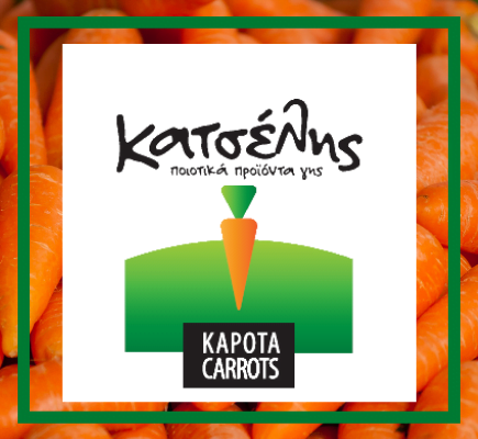 Ελληνικό ακτινίδιο - Η πορεία του ανά τις δεκαετίες - Agravia